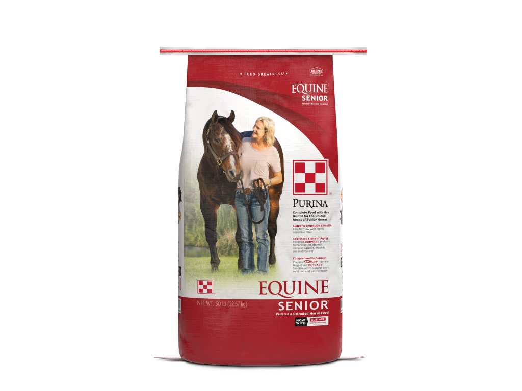 Equine Senior - siouxnationftpierre.com